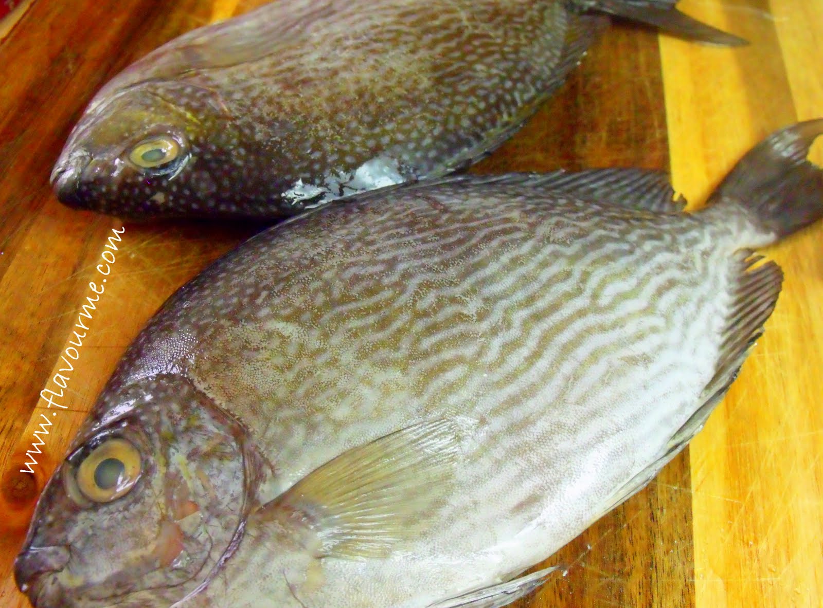 Rabbit Fish ~ Savor & Save