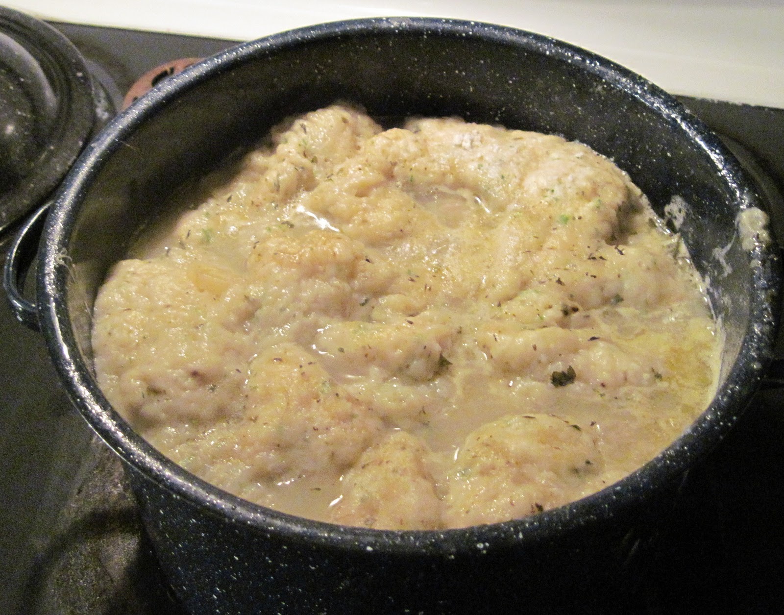 Mum in Bloom ~: Turkey Dumpling Stew