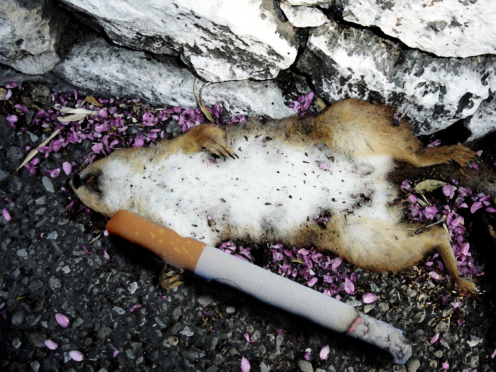 Fantamax et l'humour du futur: Fumer Tue... même les gentils écureuils.