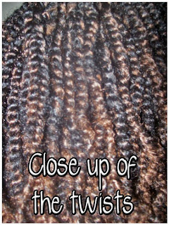 Braiding Me Softly: NEW STYLE: Nubi Nubi Twists