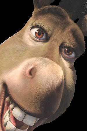 Burro de shrek - Imagui