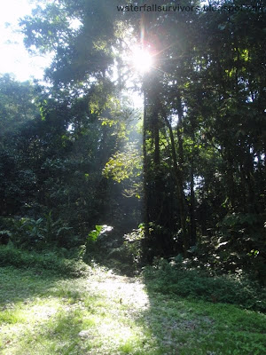 Waterfall Survivors: A Sunday at the Pristine Perdik Falls