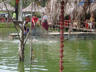 Waterfall Survivors: A Sunday at the Pristine Perdik Falls