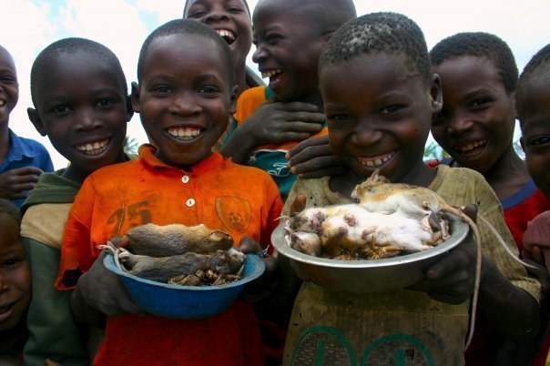 One Picture a Day Mutare Zimbabwe: Mice - Mbeva KwaChitakatira