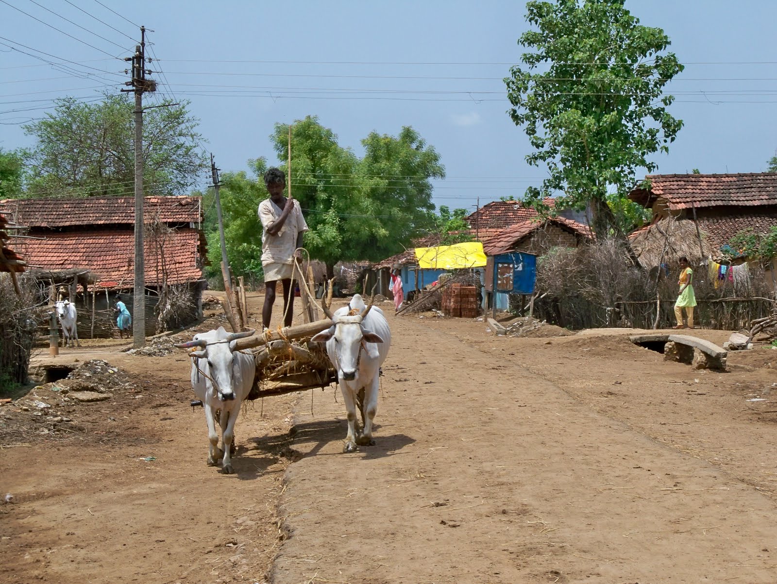 Aliza's Adventures in India: Bodli: The Rural Village in Pictures