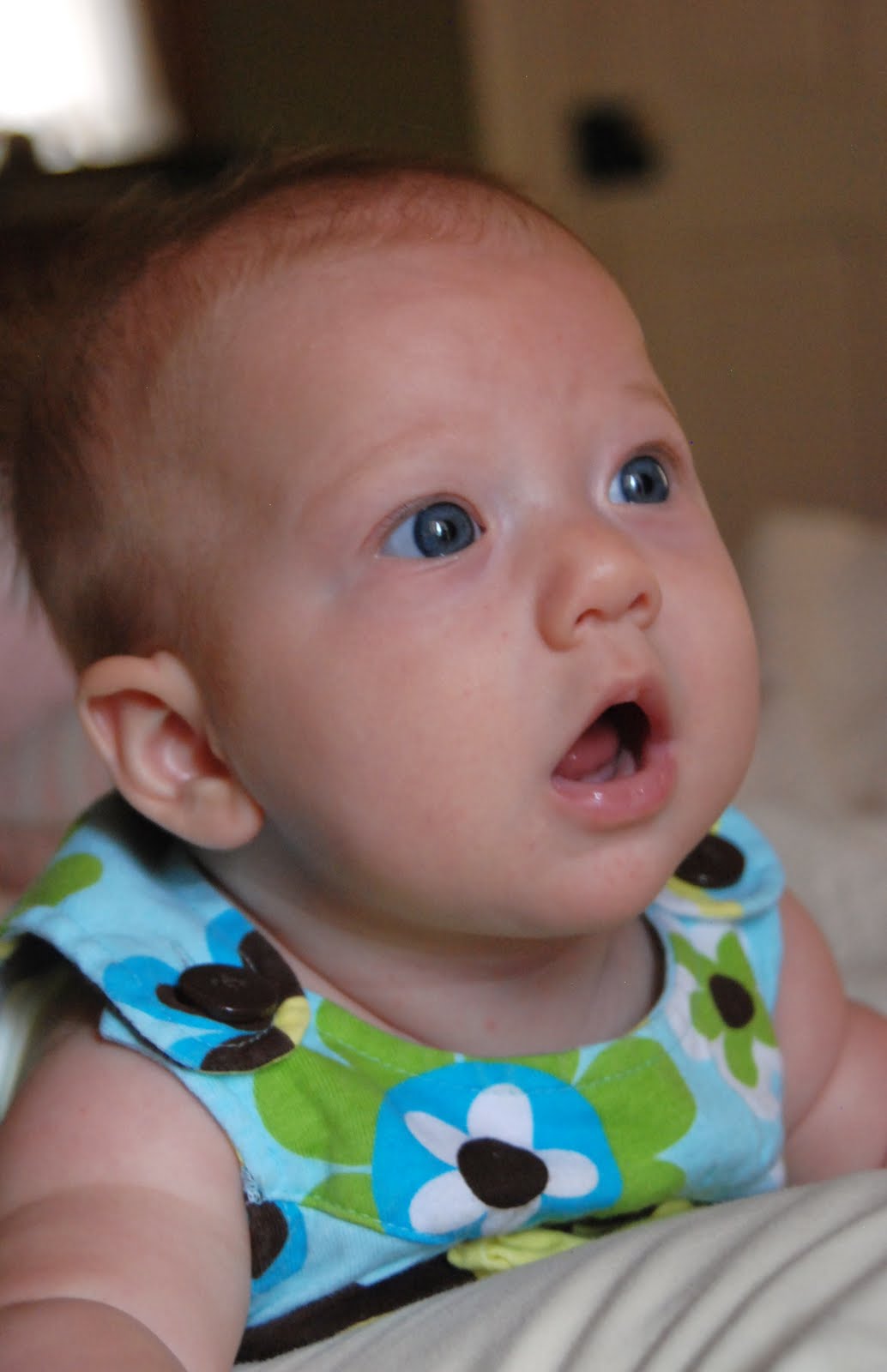 My Shameless Mommy Blog: June 2010