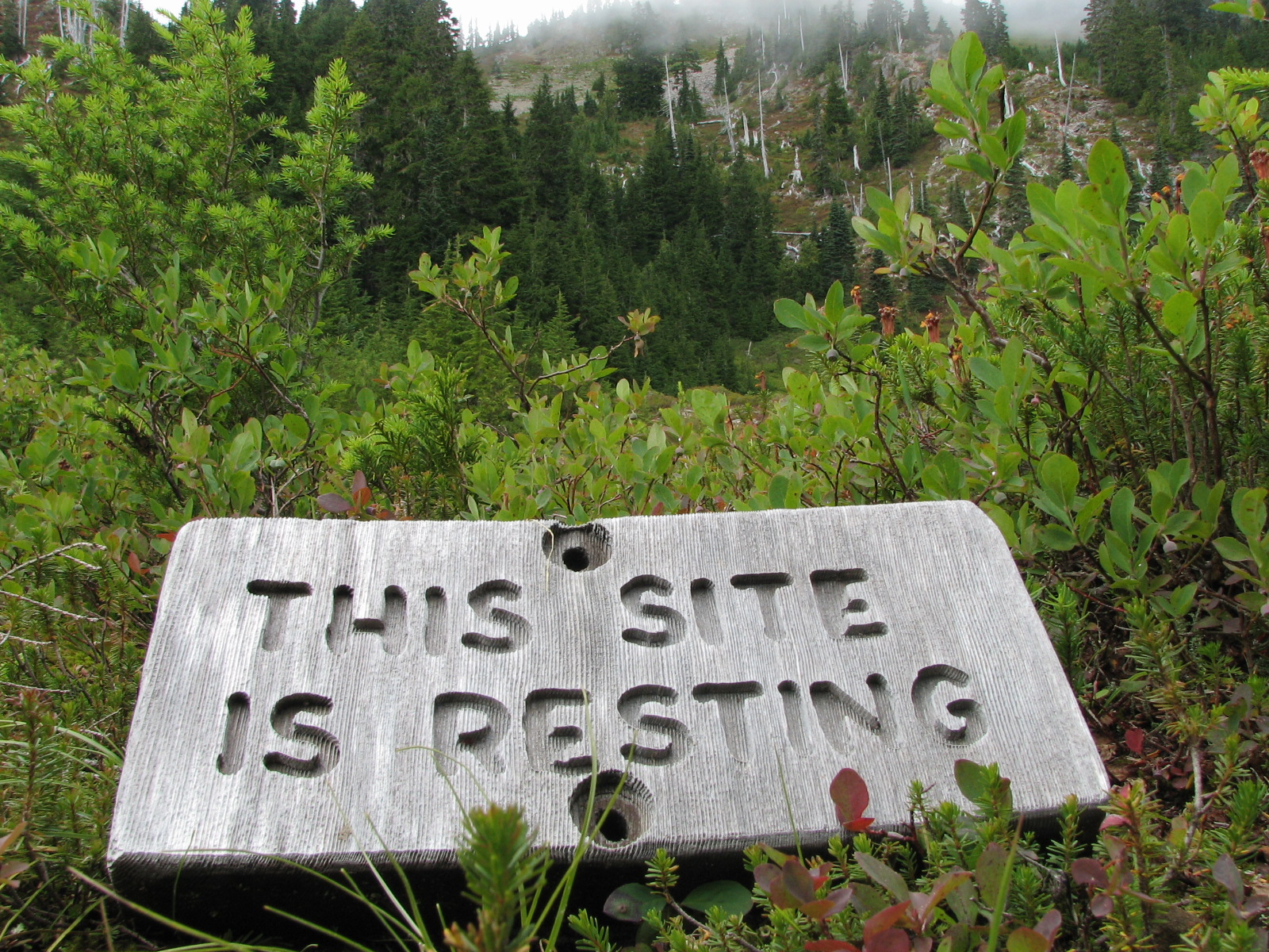 CANNON BEACH LOG: THIS SITE IS RESTING