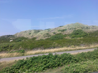 Meine Welt: Moin Moin Sylt