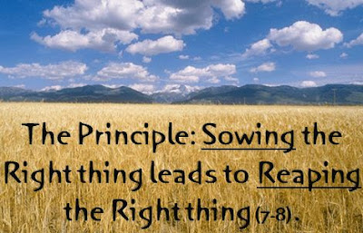 SOUL FOOD: Sowing and Reaping