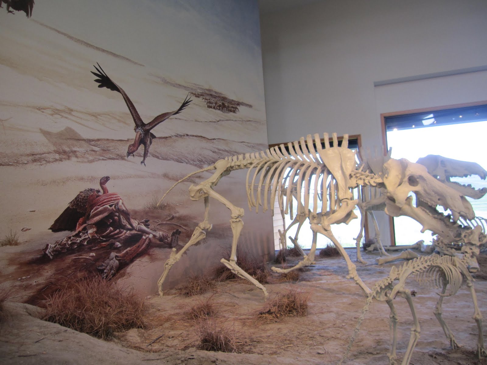 Ken B Travels: Summer 2010 Westward Journey Part III: Through Nebraska ...