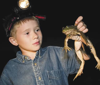 30 Engineer Jokes for May 30th - An Engineer's Aspect