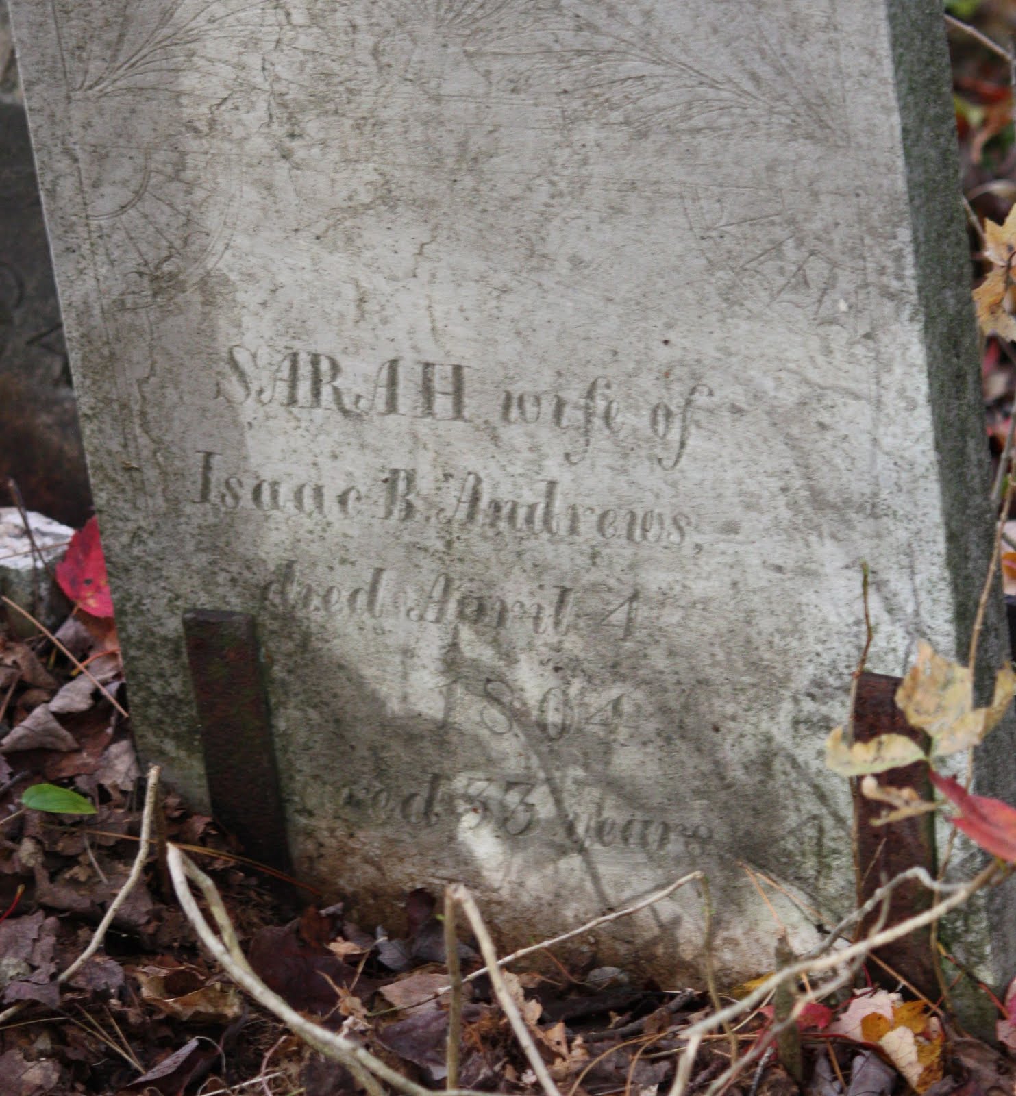 murmuring trees: Hill Cemetery