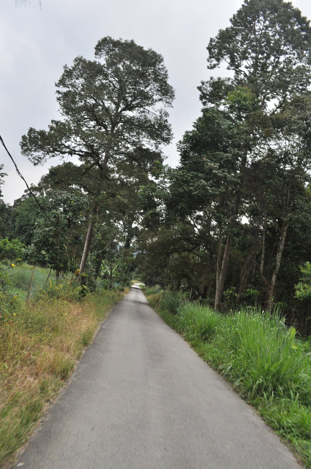 Cemperai Sari Resort