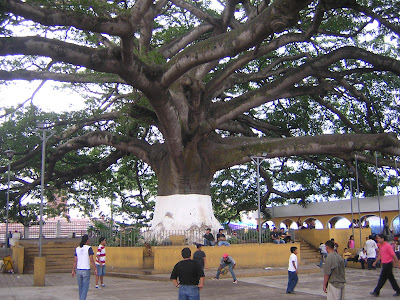 Corerita por el mundo: Guatemala