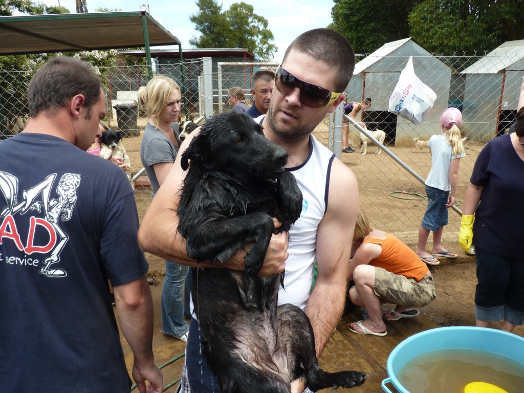 Lian Fourie: Doggy wash marathon for FORA (Friends of Rescued Animals)