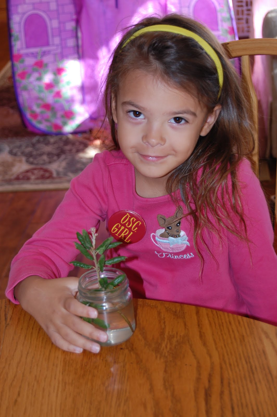 Ancient Hearth: First Grade Homeschooling Recap: Respecting the ...