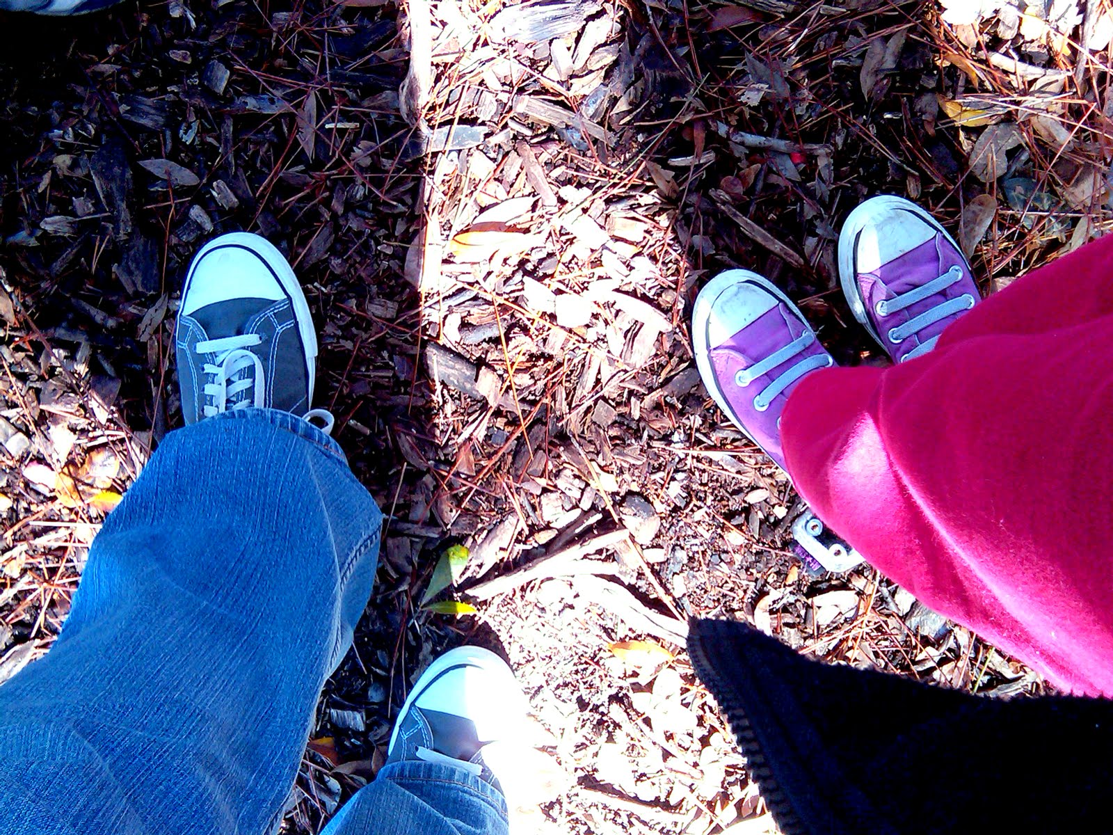 Miss Ahrens' Class: Walking Buddies