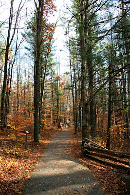 Northern Michigan Experience: Hartwick Pines State Park - Grayling, MI