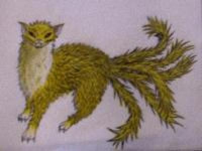 NARUTO EXTENDED: NARUTO SHIPPUDEN