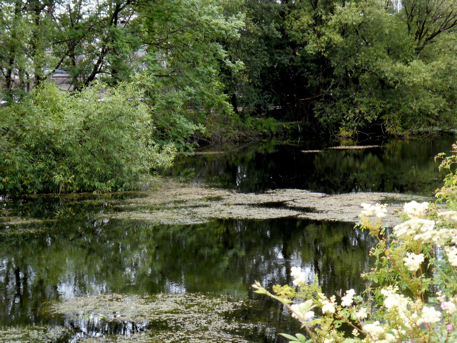 The Diary of a Country Lady: Where Streams of Living Water Flow ...