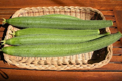 May's Chinese Cooking and Gardening: Vegetables in May's Garden - 2010 ...