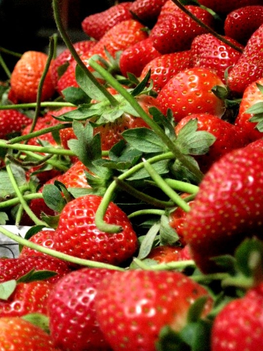 DEDICADO A LA FRESA, CONSTANZA CELEBRA PRIMER ¨FRESH MARKET¨ DE ...