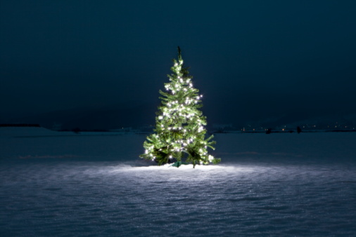 Artchee s Randomness Where Did The Christmas Tree Come From artchee-s-randomness-where-did-the-christmas-tree-come-from
