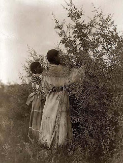 The Native Americans