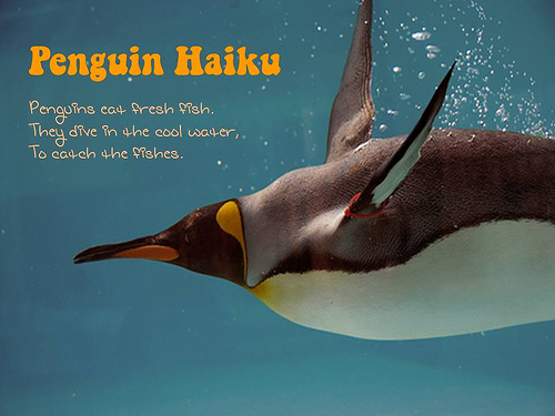 Poetic Emotions: A Haiku