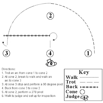 Showmanship Patterns: Pattern 43: Intermediate