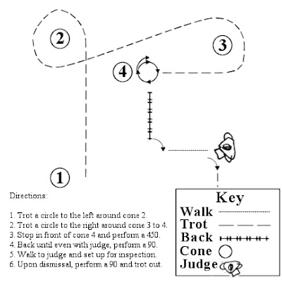 Showmanship Patterns: Pattern 25, Advanced