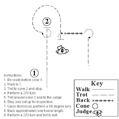 Showmanship Patterns: Drumroll PLEASE.... Congress Novice Am Pattern...
