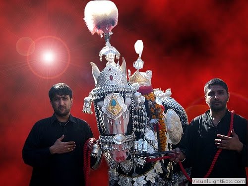 Taziadari Imam Hussain A.S: Zuljanah From All Over The World