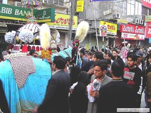 Taziadari Imam Hussain A.S: Zuljanah From All Over The World