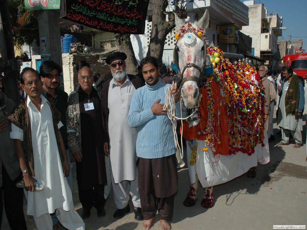 Taziadari Imam Hussain A.S: Zuljanah From All Over The World