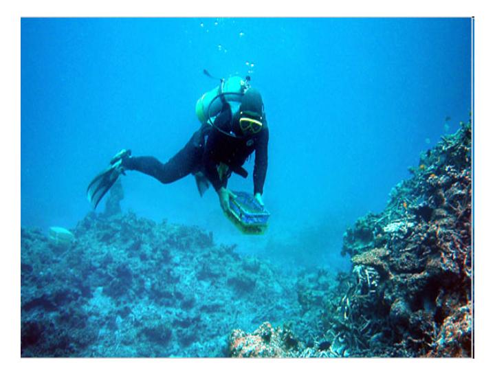 CT: AKTIVITI MENYELAM SKUBA