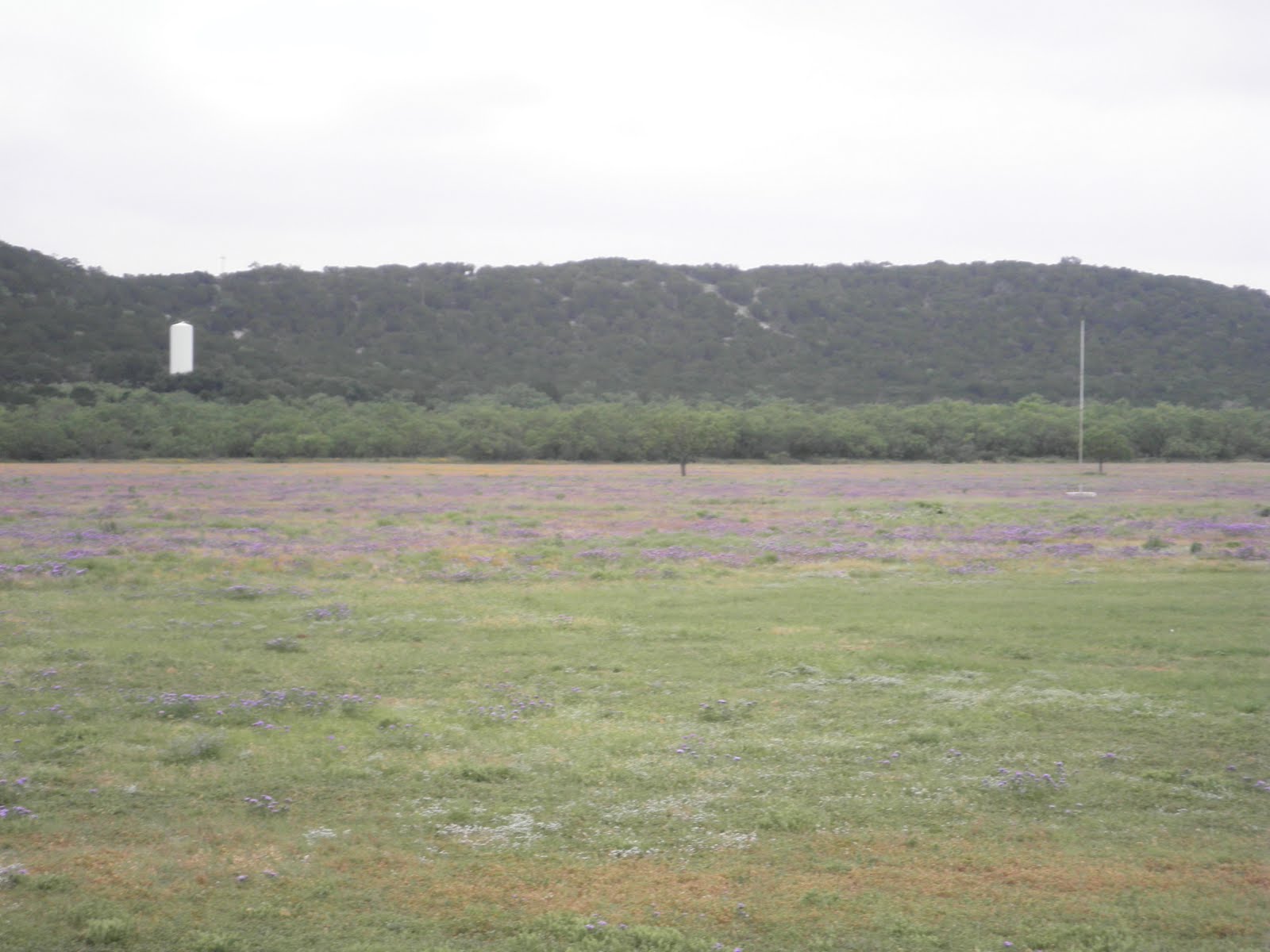 Nature: The Scientist's Point of View: Texas Tech University at Junction