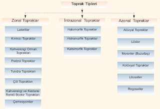 LİSE COĞRAFYA DERSİ ETKİNLİKLERİNİN CEVAPLARI: BAŞLICA TOPRAK TİPLERİ ...