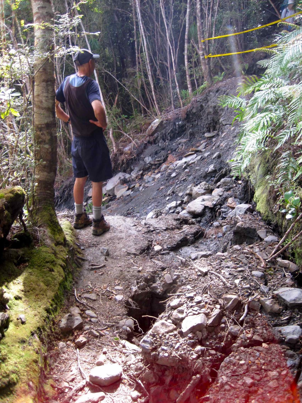 Carolyn in Aotearoa: Heaphy Track, Day Two: Perry Saddle Hut to Saxon ...
