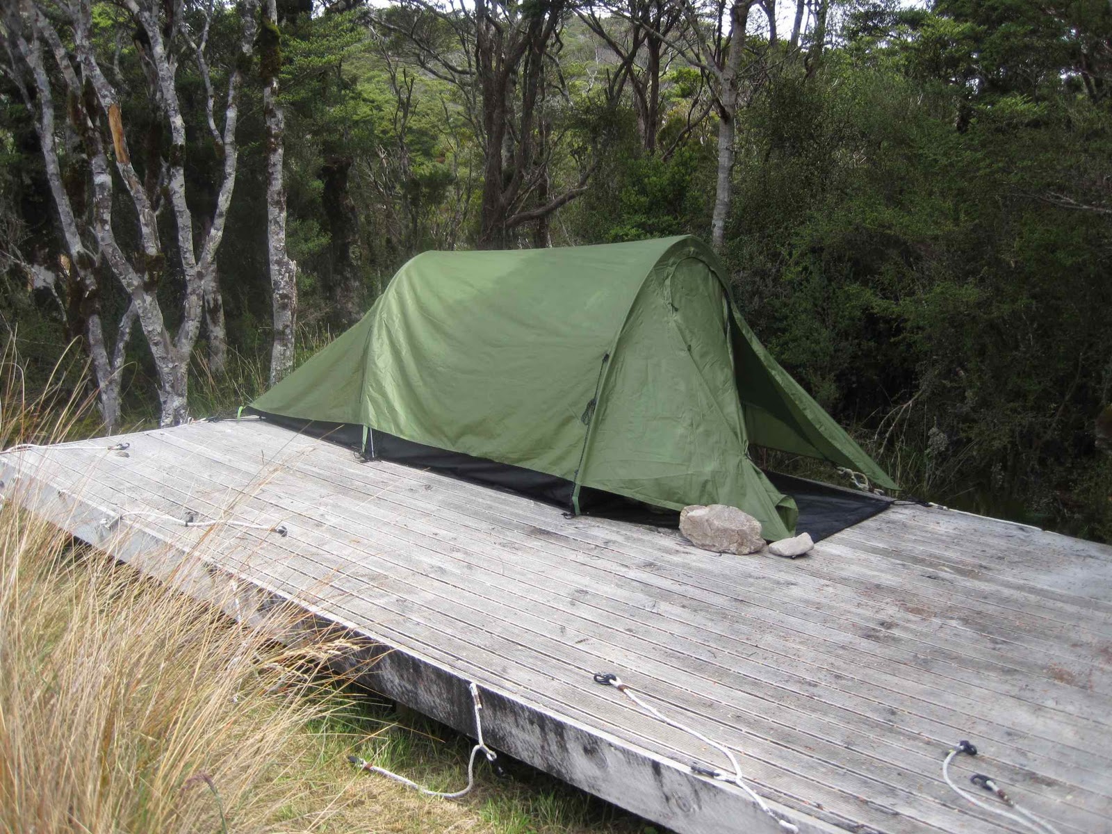 Carolyn in Aotearoa: Heaphy Track, Day Two: Perry Saddle Hut to Saxon ...
