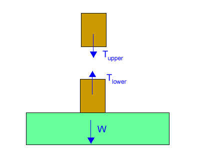 Physics -061&062: Tension in a Flexible Cord