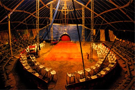 Alfonsozamudio's Politics