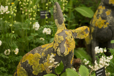 Photographer's Garden: CHELSEA - BITS AND BOBS