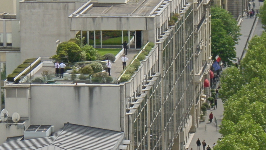 Photographer's Garden: Introduction to living roofs