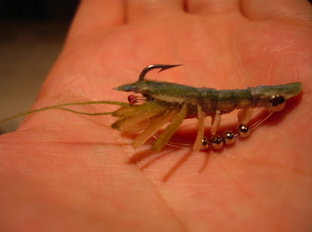 born to fly fish: The Silicon Prawn Avalon