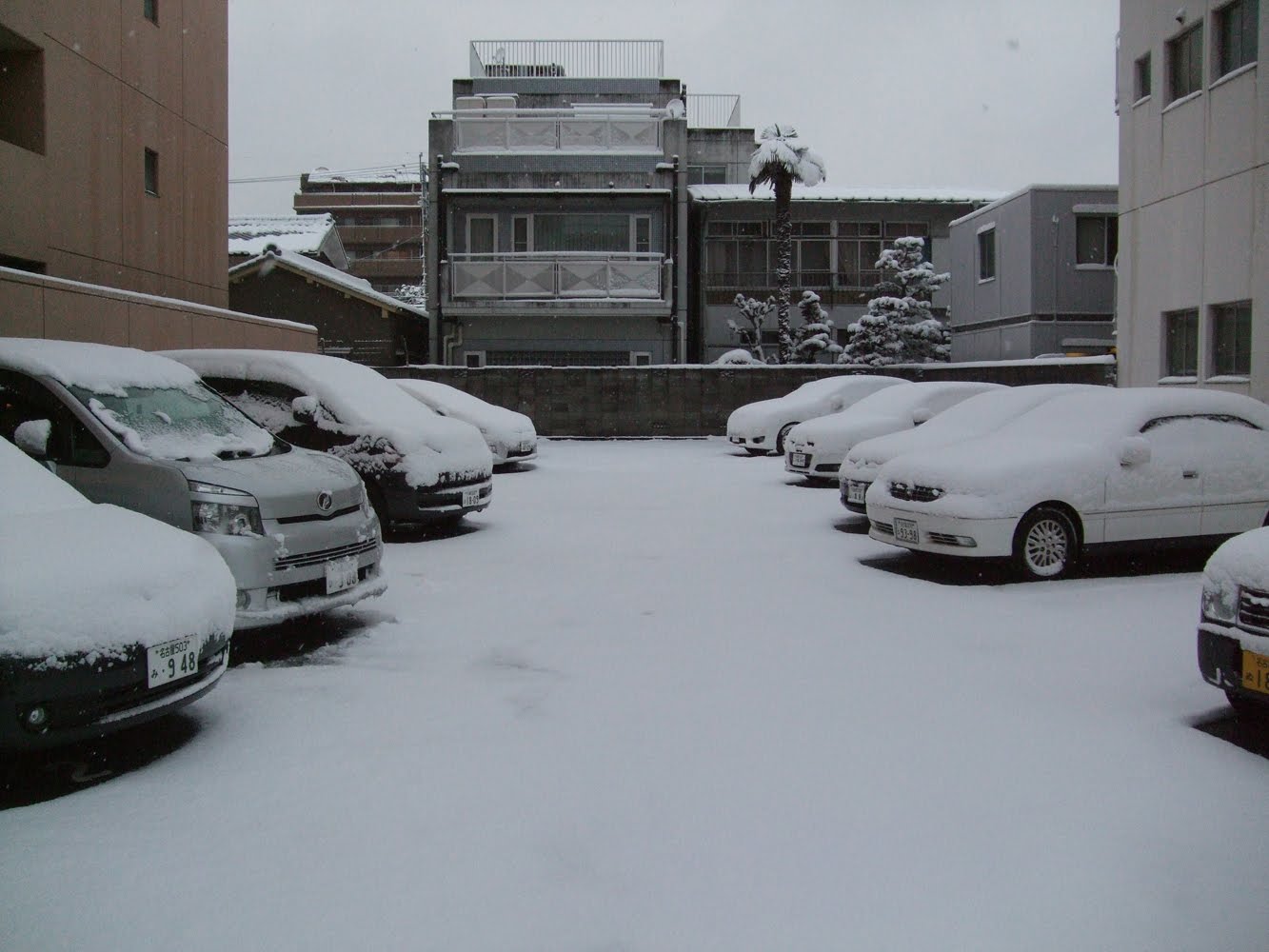 The eye in Japan: Snow in Nagoya II