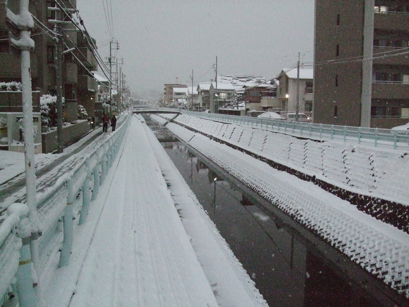 The eye in Japan: Snow in Nagoya II