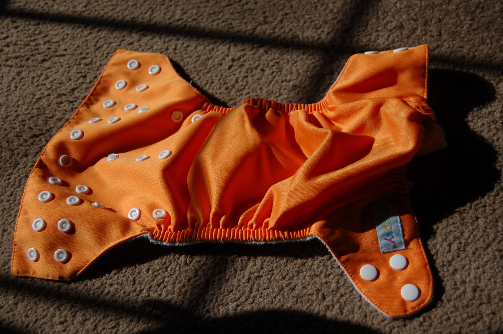 Diaperville: Cloth Diaper Review - Doopsy SD