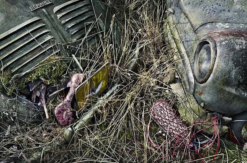 Down the Rabbit Hole: still life... with shoes