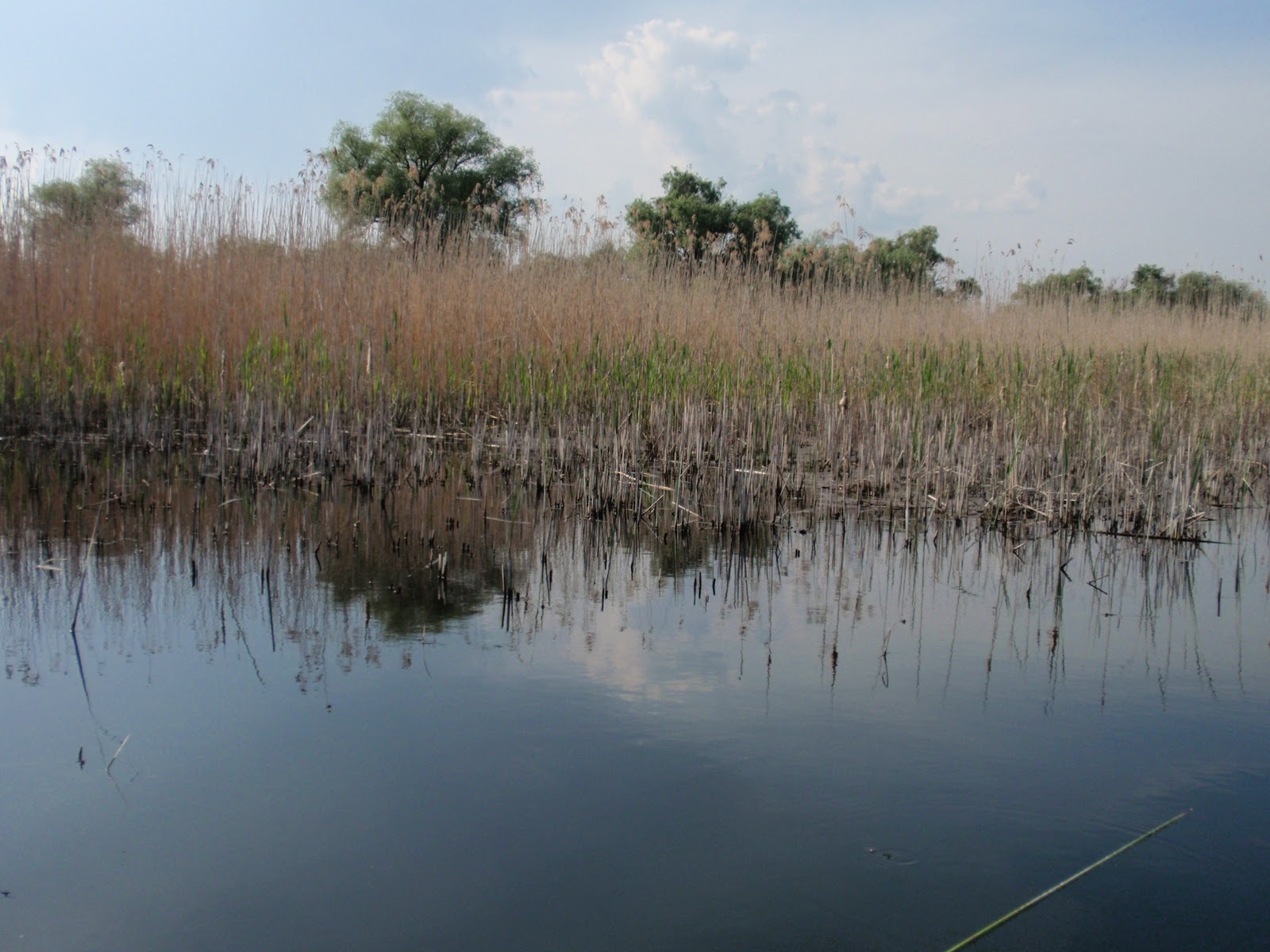 Romania prin ochii mei: Delta Dunarii
